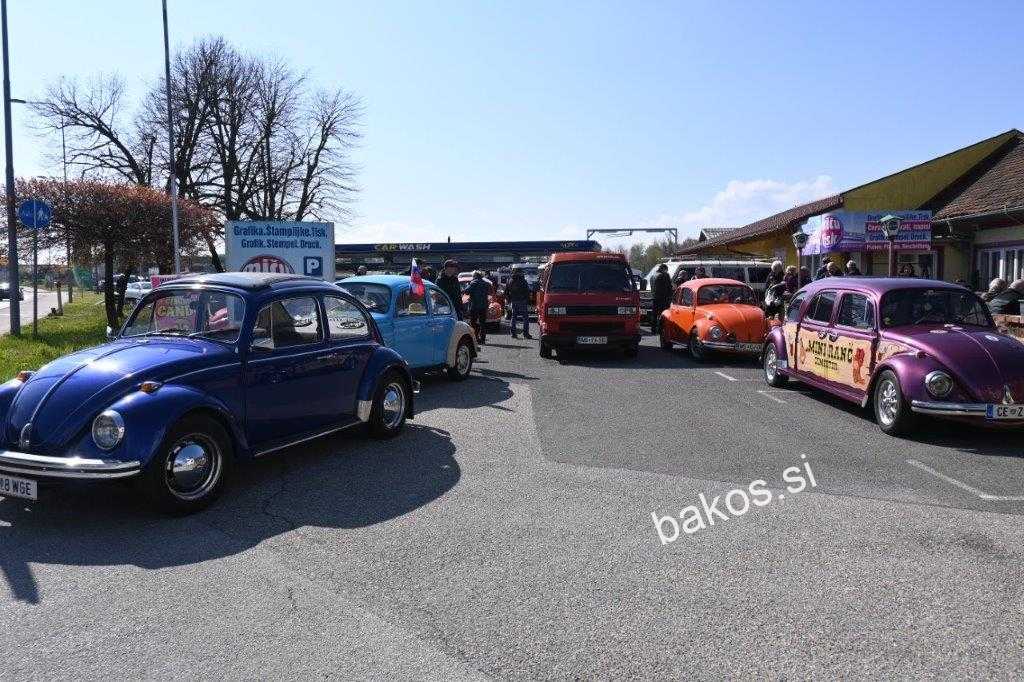 Starodobni hrošči zaznamovali Velikonočni ponedeljek - Bakos