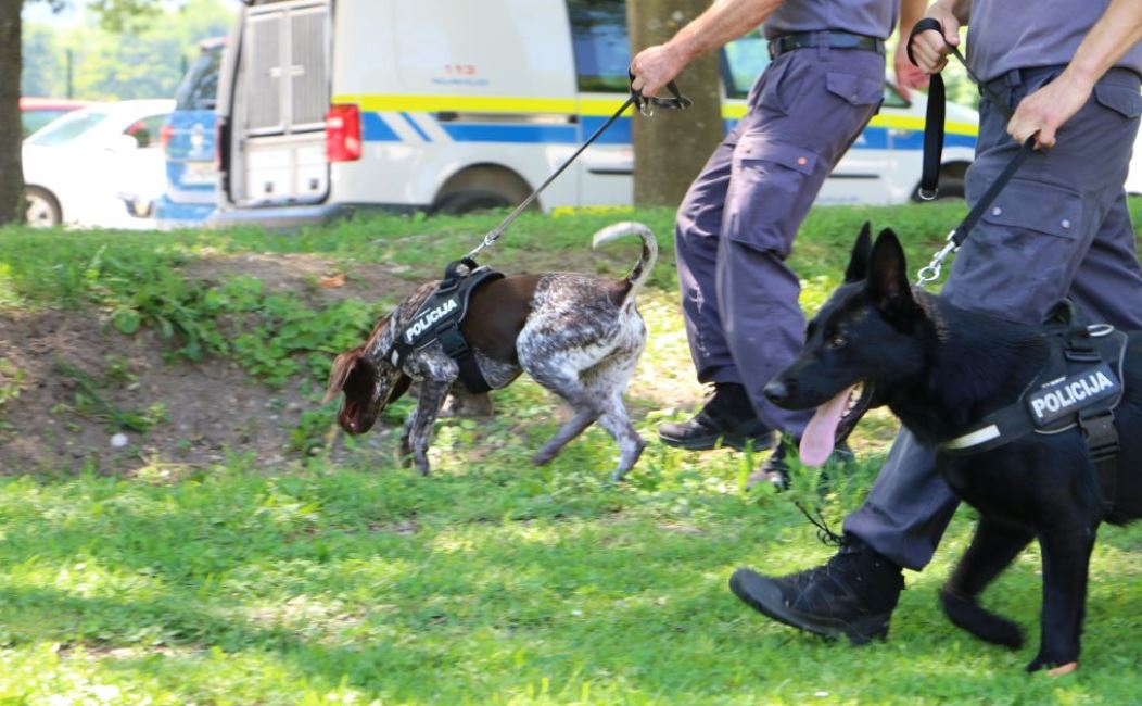 Petnajstletnica je bila pogrešana od 25. januarja, policisti so danes ...