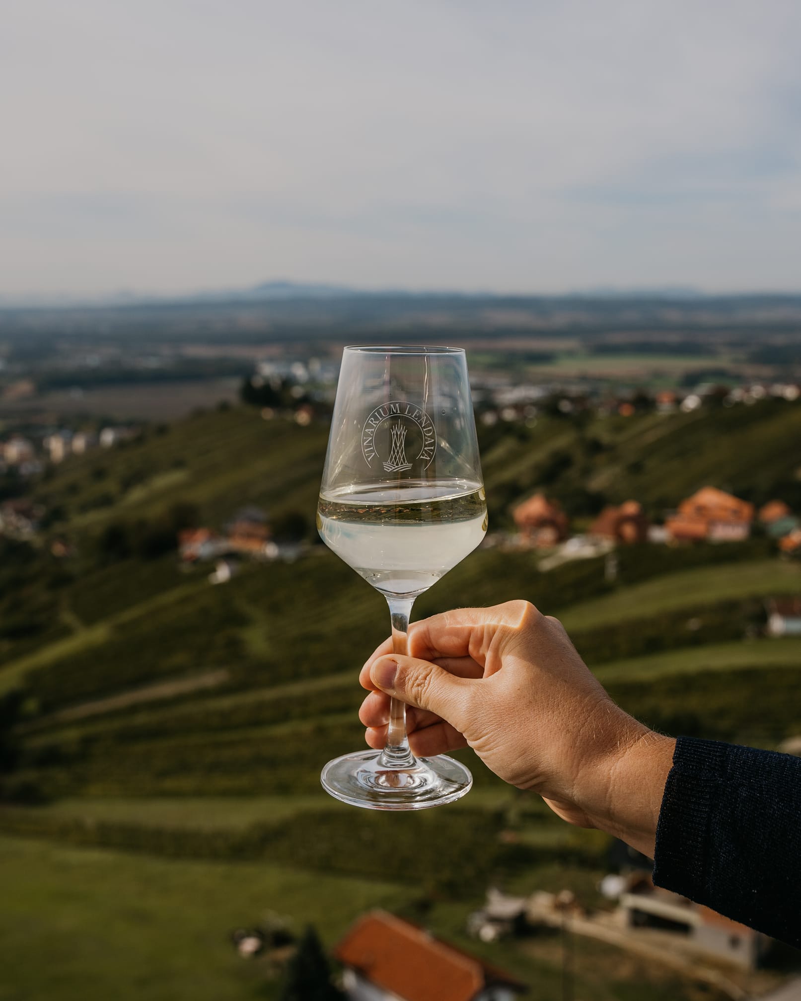 Vlada na današnji seji sprejela predlog zakona o vinu - Bakos